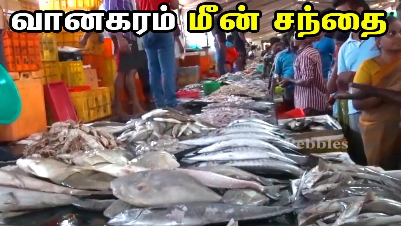 வானகரம் மீன் சந்தை | Vanagaram fish Market in Chennai | Local fish ...