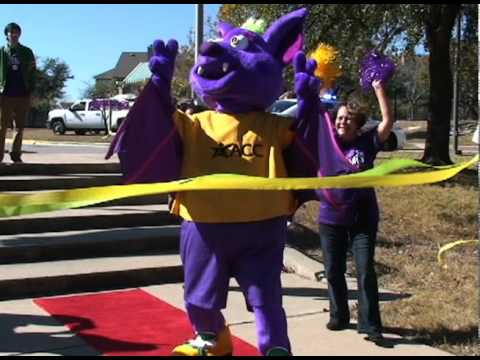 Riverbat Mascot Reveal - YouTube