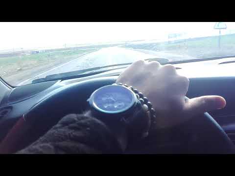 Gurbet tepe yeni doğan çinçin