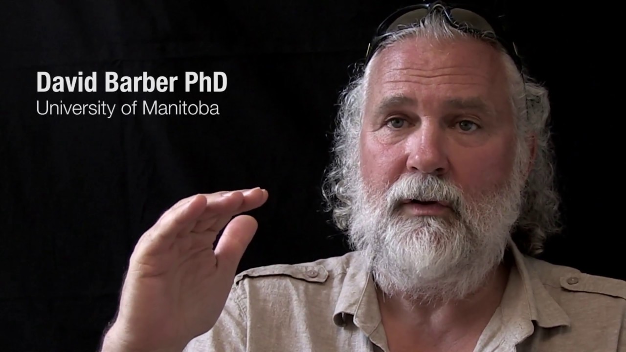 David Barber PhD on the Atlantification of the Arctic - YouTube