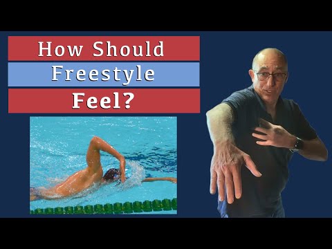 How should freestyle feel? The muscles used if swimming Front Crawl ...