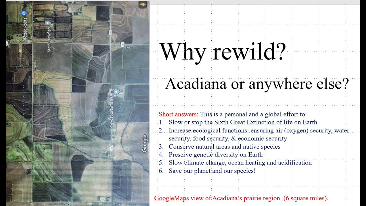WOPB Zoom Dr. Malcolm Vidrine Rewilding Acadiana 08/07/2024 - YouTube