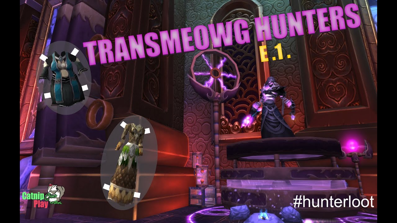 Catnip Play: WoW-Transmeowg Hunters-e1 - YouTube