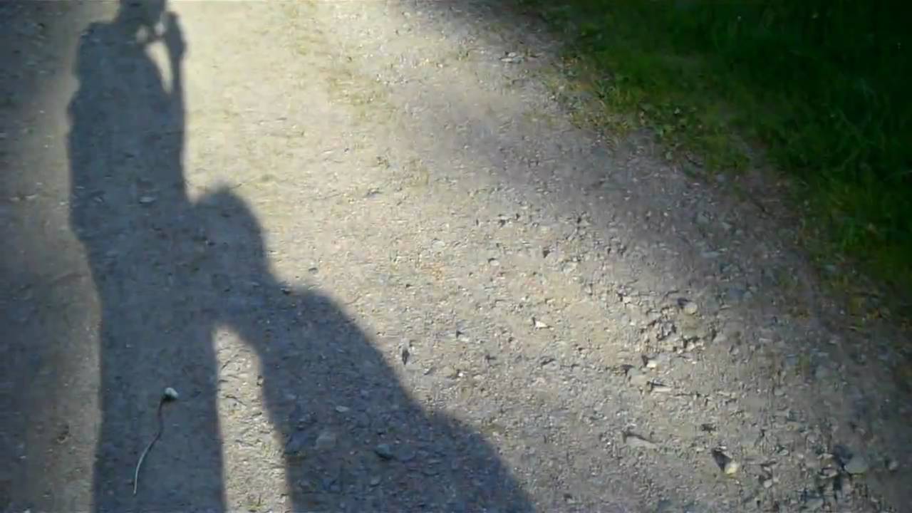 Shadow Sex Youtube