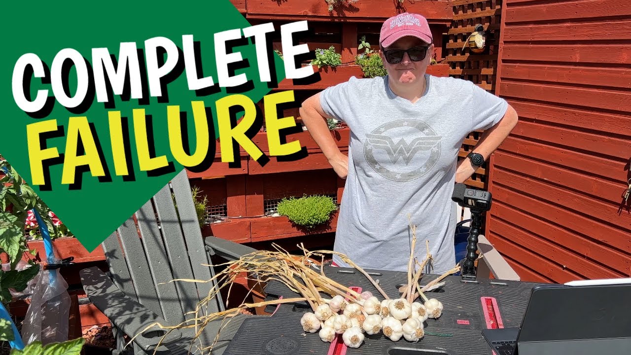 Storing and braiding garlic - YouTube