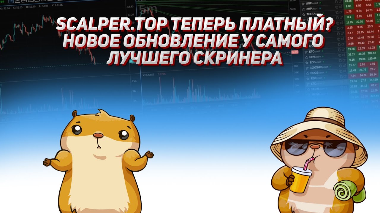 НОВОЕ ОБНОВЛЕНИЯ SCALPER.TOP | САМЫЙ ЛУЧШИЙ СКРИНЕР ДЛЯ ТОРГОВЛИ - YouTube