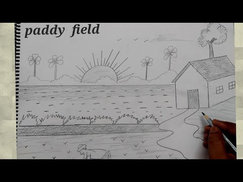how to draw paddy field l how to draw paddy field with farmers l how to ...