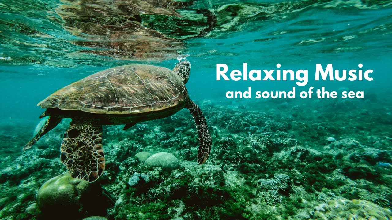 Relaxing music with the sound of the sea. Music to sleep, concentrate ...