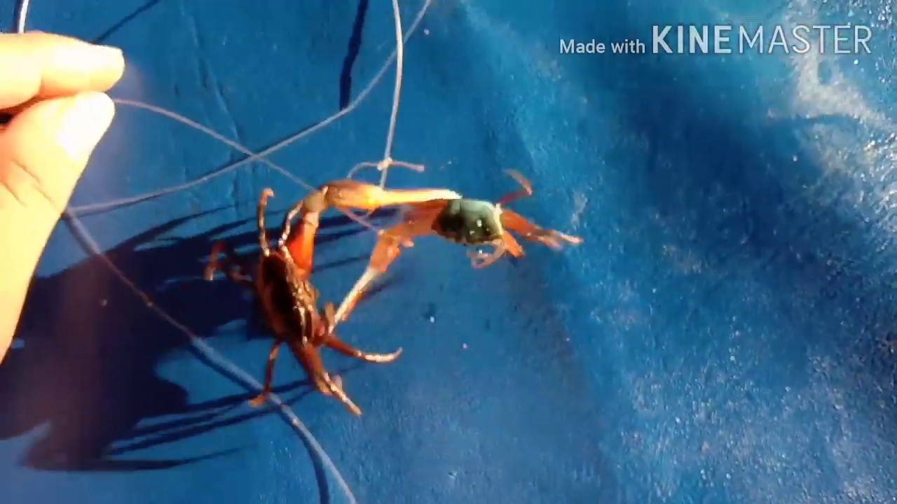 Agokoy Fighting - YouTube