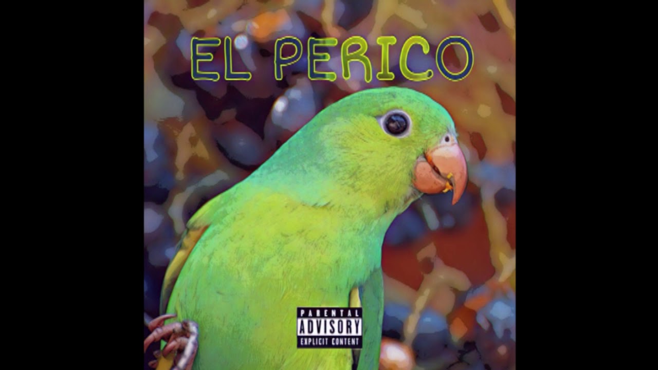 EL PERICO! - YouTube