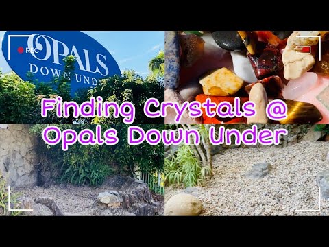 Finding crystals @ Opals down under on the Sunshine Coast - YouTube