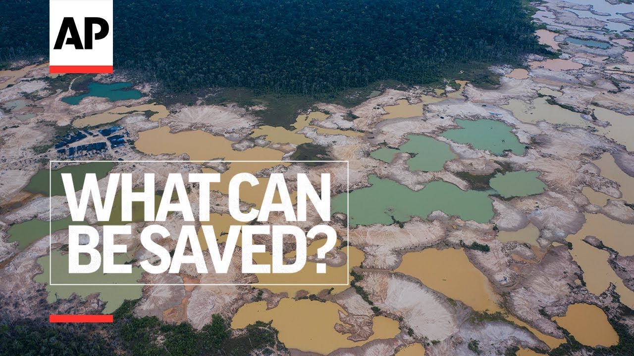 Taking Root - Episode 3 | What Can Be Saved? | Associated Press - YouTube