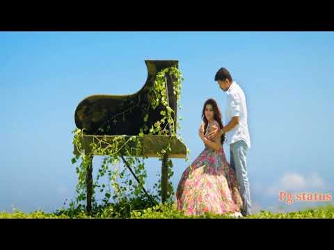 PG Status | PG Status | Full Screen PG Status2020 || PG Full Screen Status | #new status | #status |