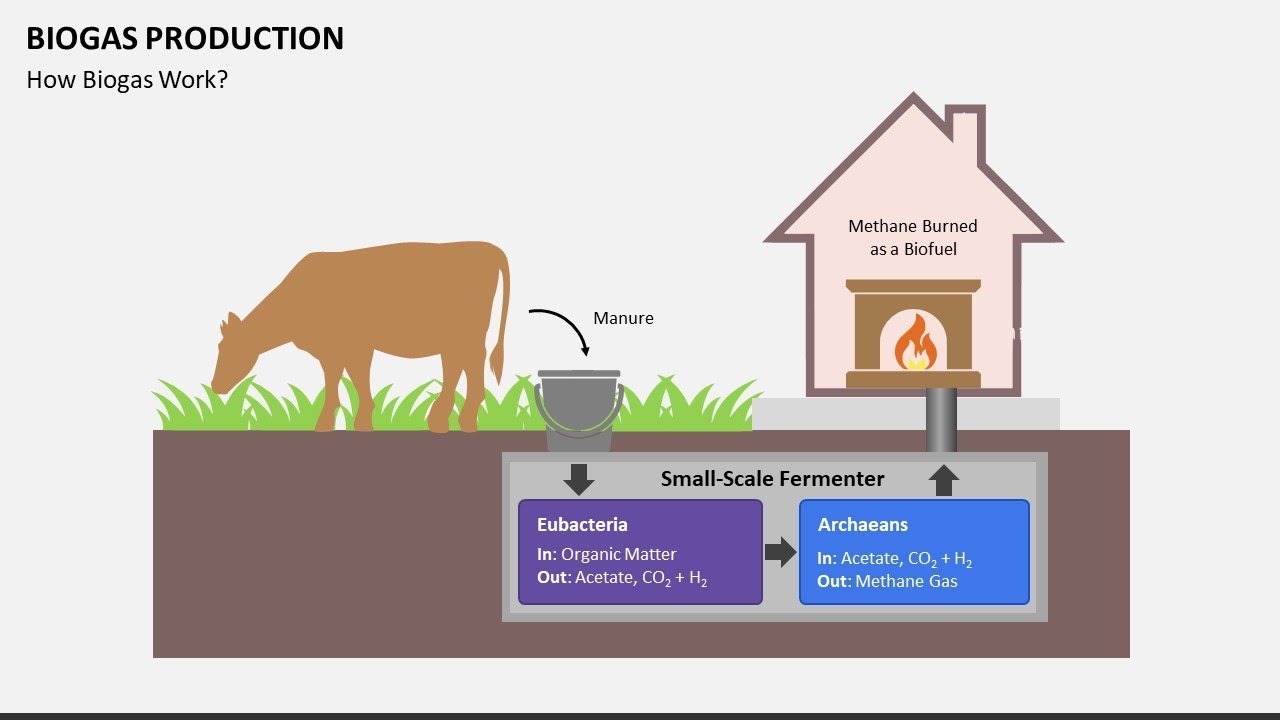 Biogas Production Animated PPT Slides - YouTube