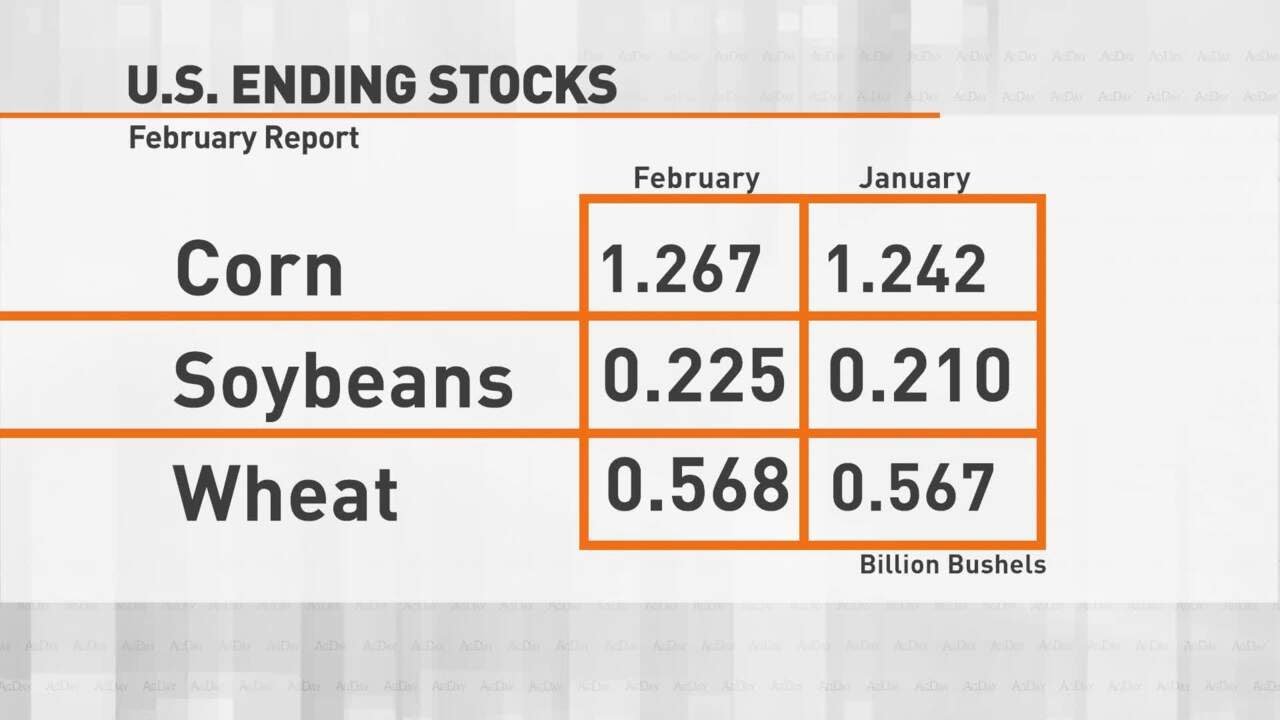 USDA WASDE: February Report - YouTube