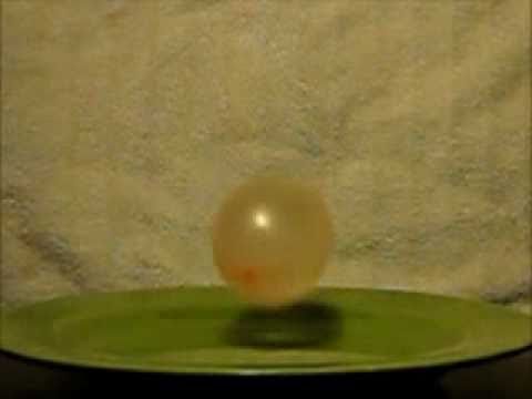 Slow Motion - Water Balloon Bounce - YouTube