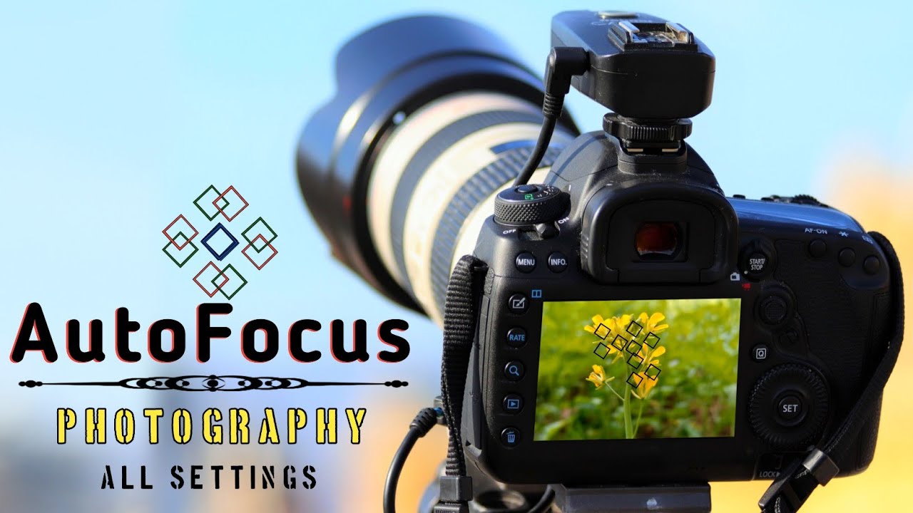 Nikon DSLR Autofocus Settings and photography - YouTube