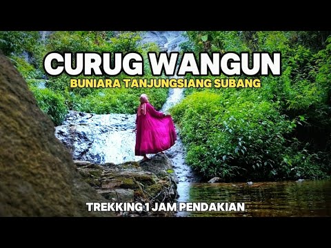 Curug Wangun Subang , Wisata Tersembunyi di Tengah Hutan - Terbaru 2024 ...