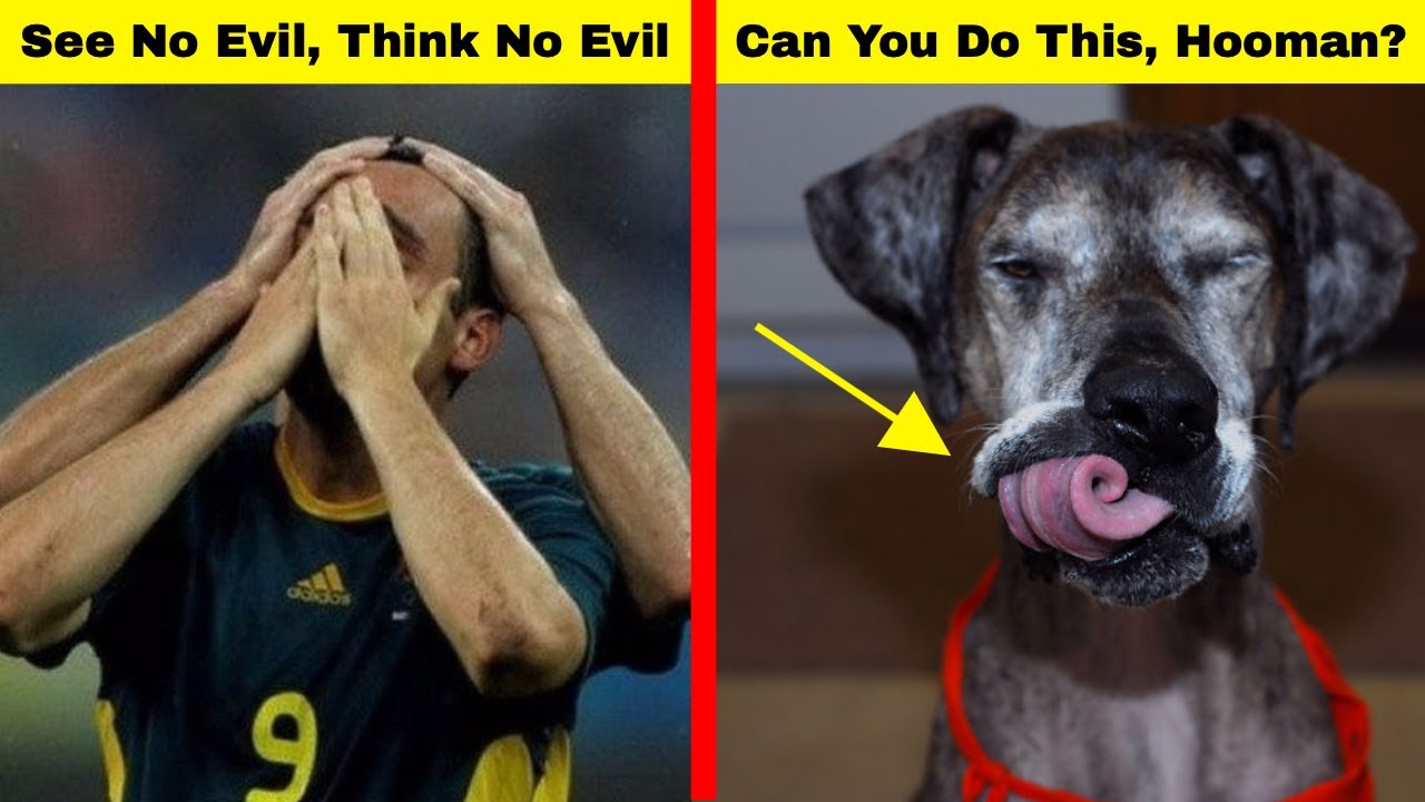 Perfectly Timed Photos Only The Wizards Of Timing Could Take - YouTube