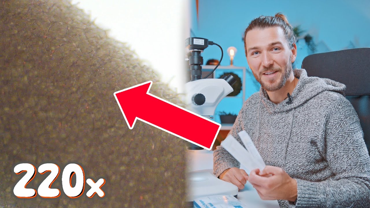 Let's Look At A Covid Swab Test Under the Microscope! - YouTube