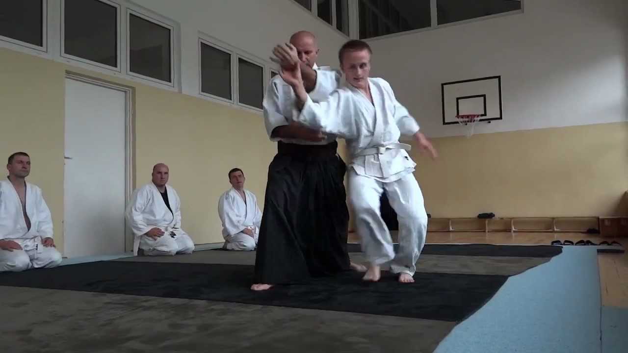 Piotr Borowski 6 dan Aikikai trening w Polanicy-Zdrój - YouTube