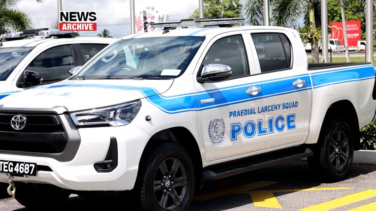 Agriculture Minister Vows To Restore Praedial Larceny Patrols - YouTube