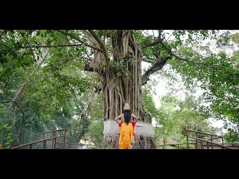 Sundara Te Dhyana।Abhanga| Ashadhi Ekadashi | Pradhyumna Chari