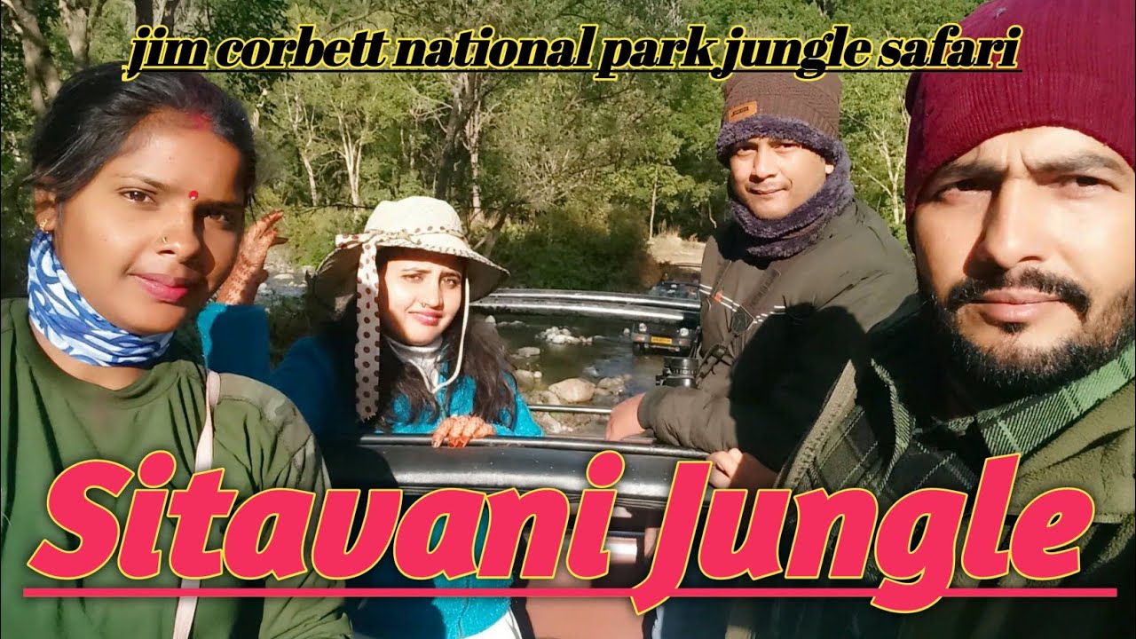 Jim Corbett National Park | Bijrani And Sitavani Zone | Jungle Safari ...