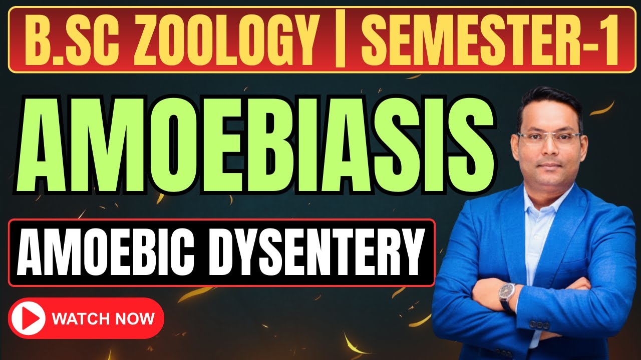 Amoebiasis | Amoebic Dysentery | B.Sc Zoology | Semester-1 - YouTube