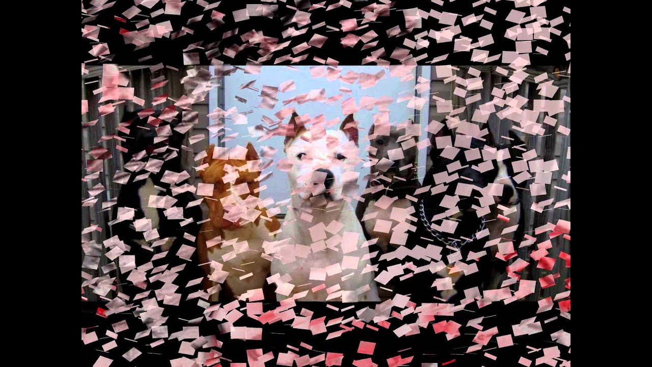 vb$gang$ // le triceratops// feat mlm// - YouTube