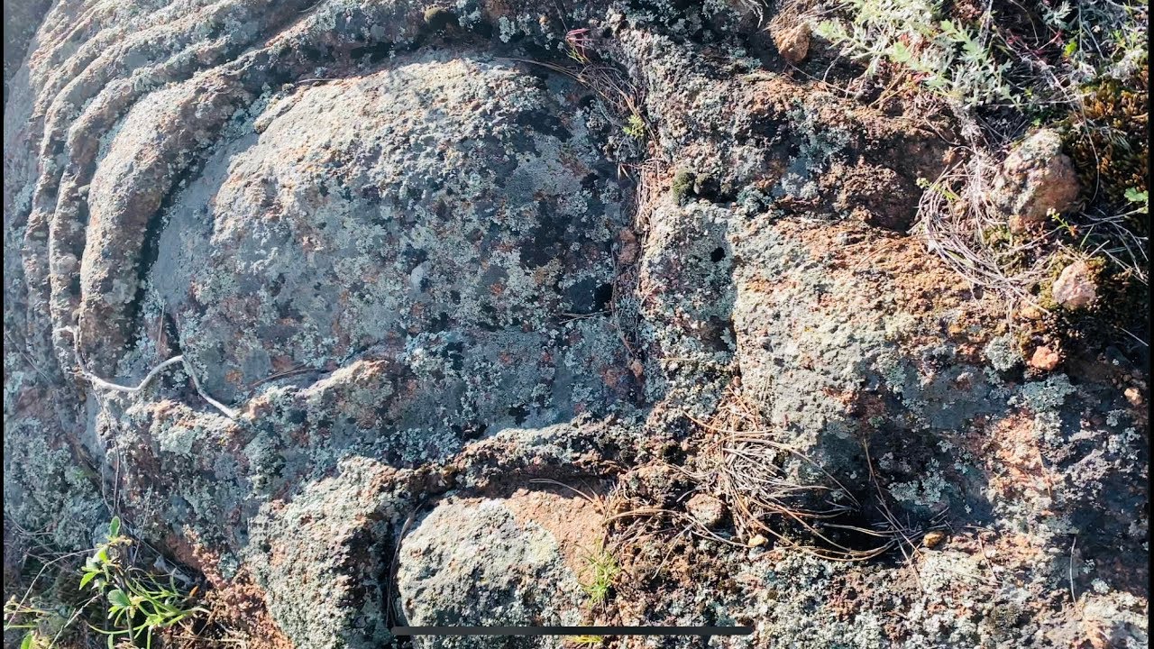 Man Turns Invisible by Using his Brain with Rocks and Sticks - YouTube
