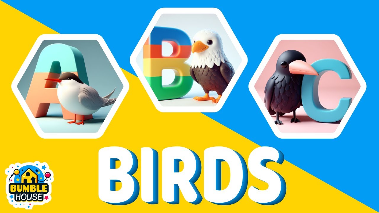 Alphabet - Birds | ABC | Kids | BumbleHouse - YouTube