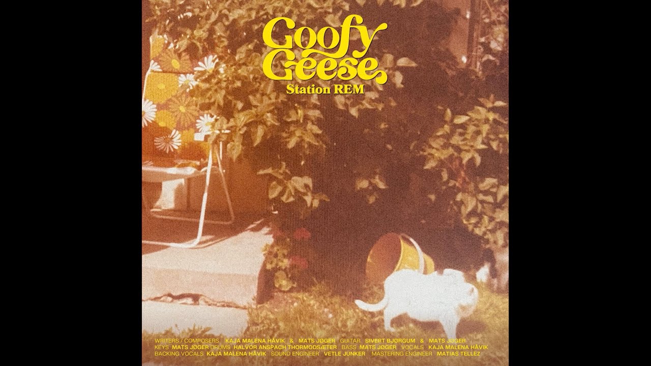 Goofy Geese - Station REM - YouTube