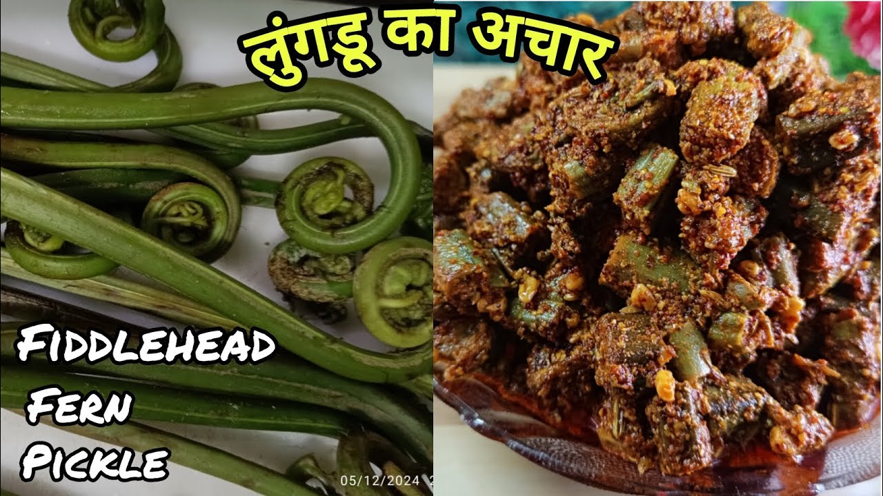पहाड़ी लुंगडू का अचार | Fiddlehead Fern Pickle | Kasrod Ka Achar ...