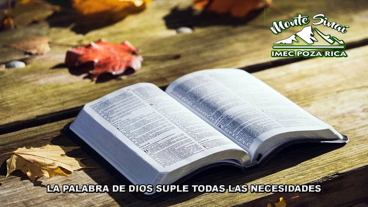 LA PALABRA DE DIOS SUPLE TODAS LAS NECESIDADES - YouTube