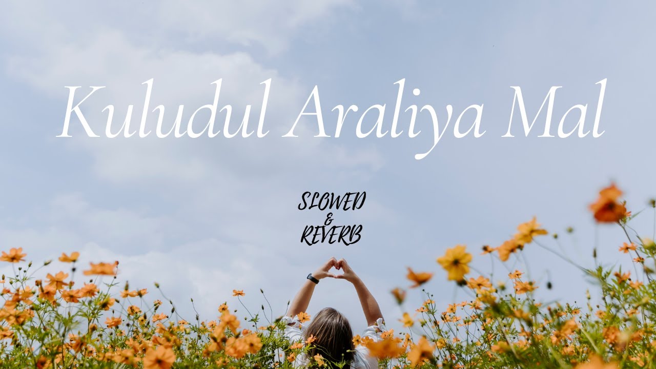 Kuludul Araliya Mal (Slowed & Reverb)"කුළුඳුල් අරලිය මල් " - YouTube
