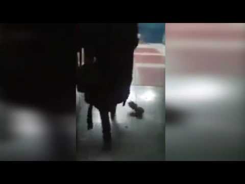 Metroda Elinde Ananasla Dolaşan Kadın Şaşkınlık Yarattı
