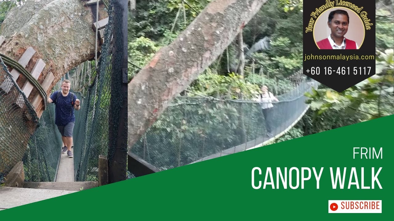 JohnsonMalaysiaTour - canopy walk at FRIM - YouTube