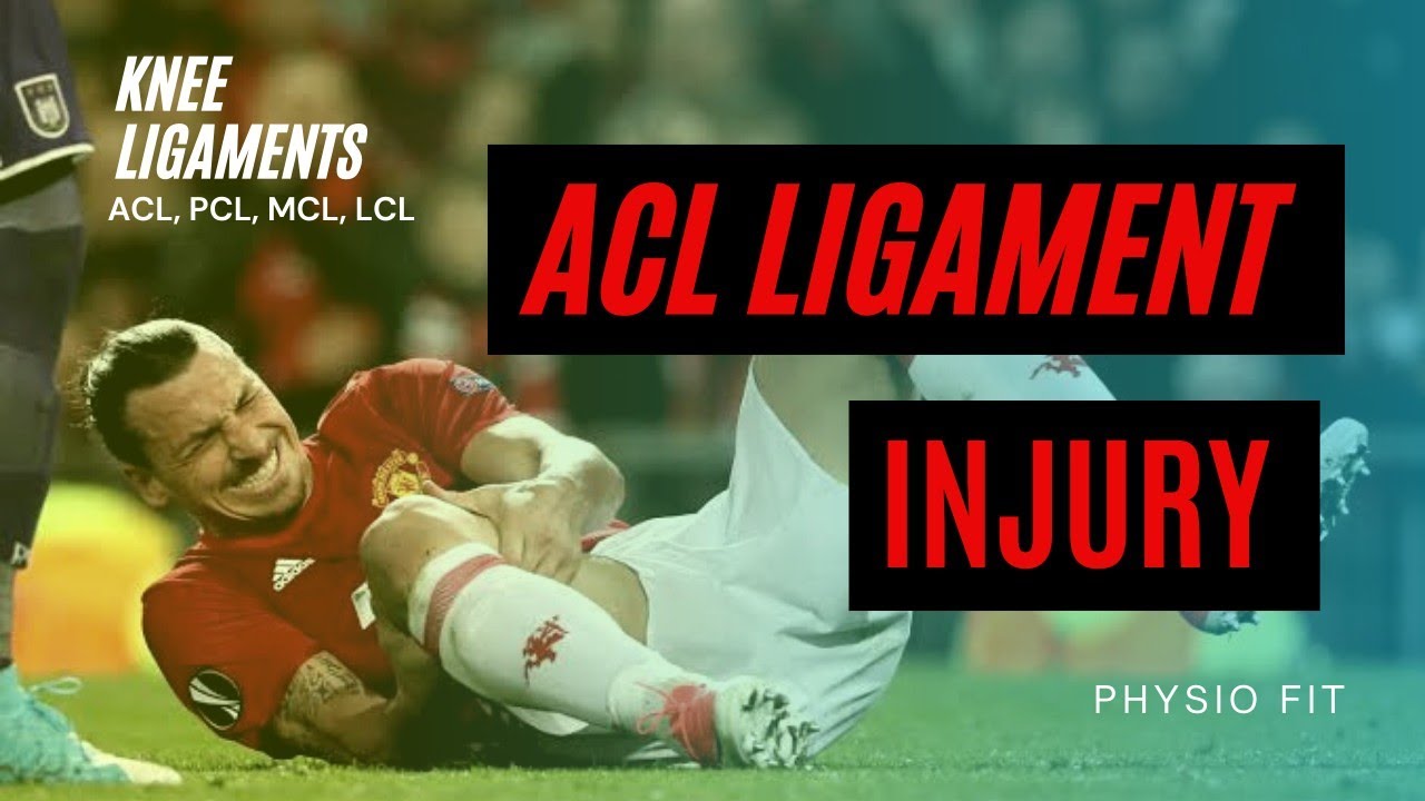 Knee ligament injury/with English subtitle/ ACL injury/prevention and ...