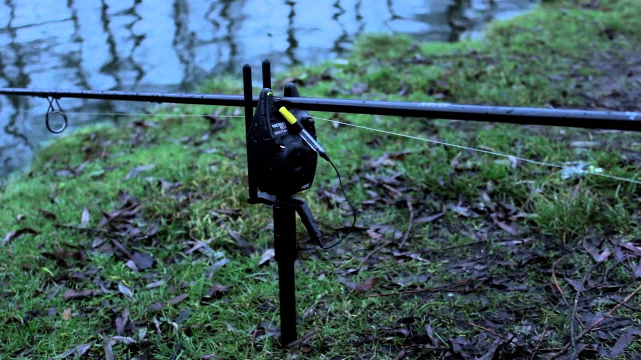 Carp Fishing (12) BFP Baits - Carp Runs Fox - YouTube