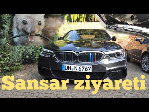 sansarın bmw sevdası