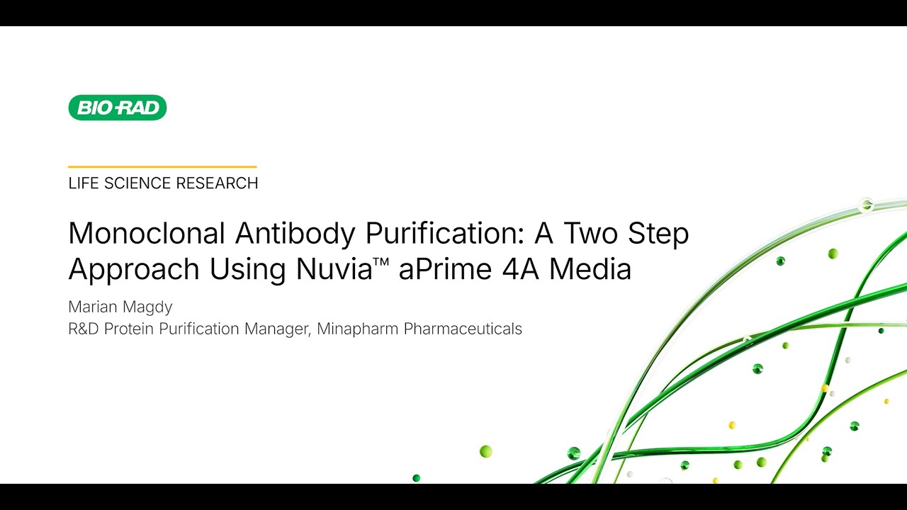Monoclonal Antibody Purification: A Two-Step Approach Using a Strong ...