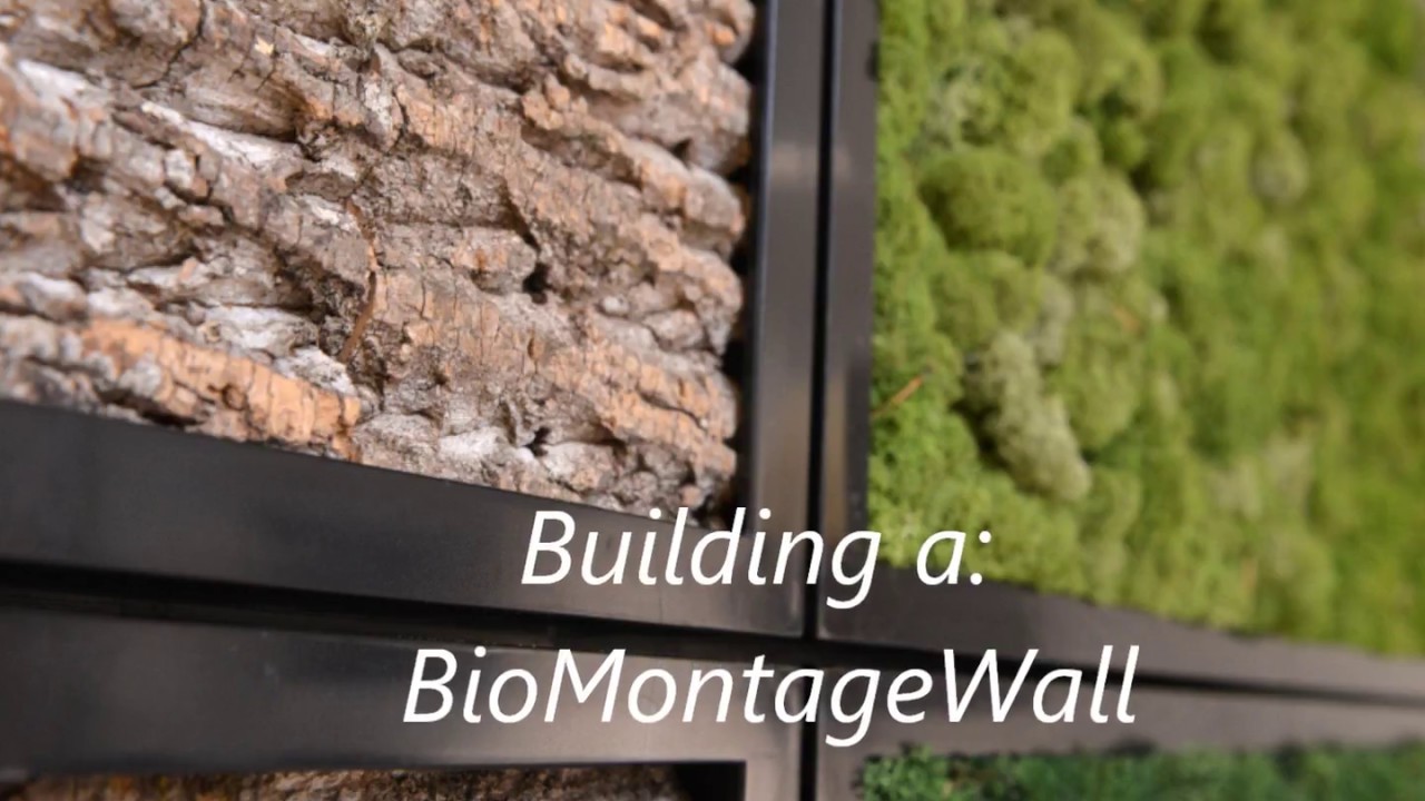 Building a BioMontage Wall - YouTube