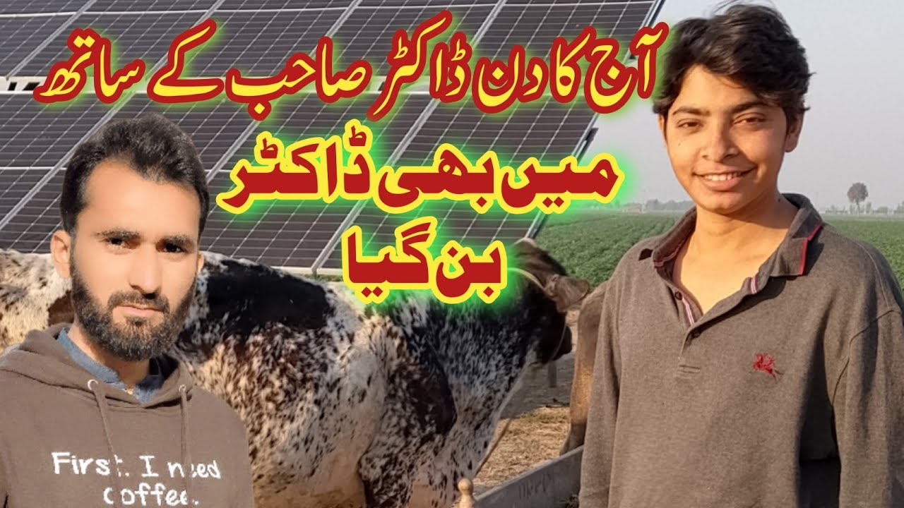 Ek Din Animal Doctor Ke Sath: Adventures Aur Caring Moments | Mera Din ...