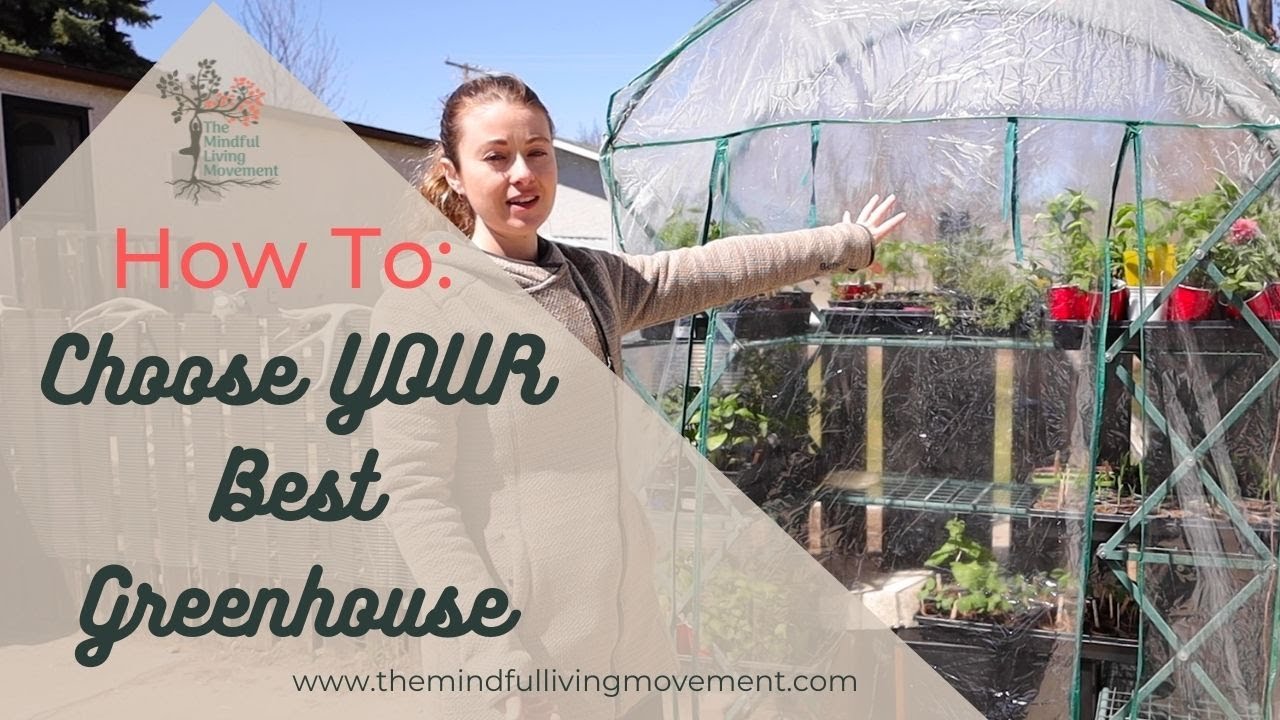 Before You Buy: Questions To Ask When Shopping For The Best Greenhouse ...