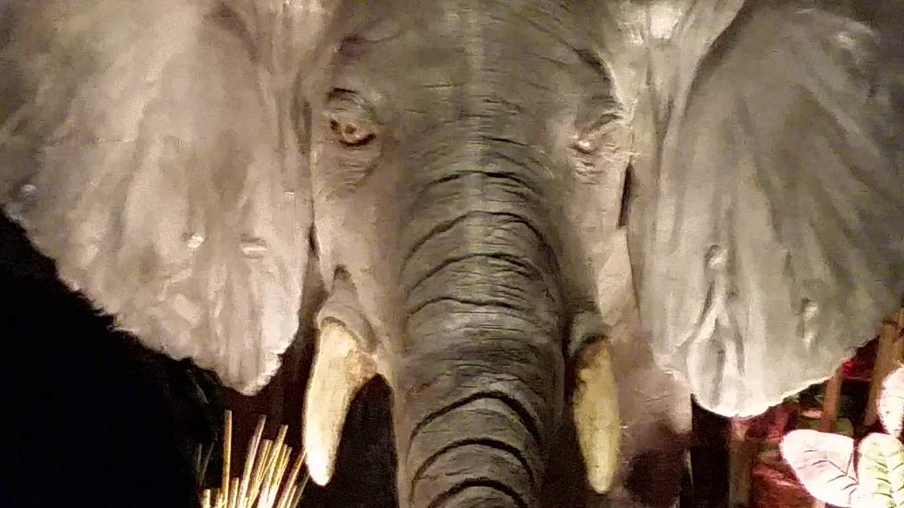 Creepy Animatronic Elephant - YouTube