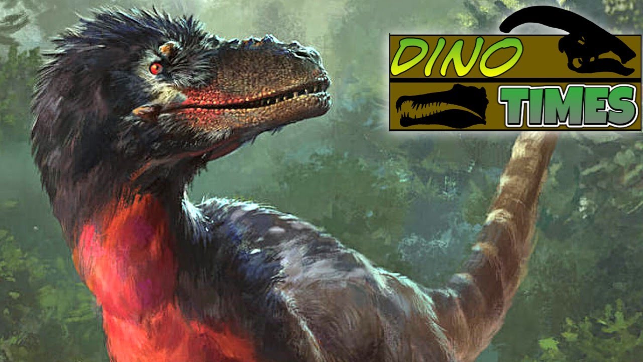 The Tiny Tyrannosaur: Moros Intrepidus! Dino Times - YouTube