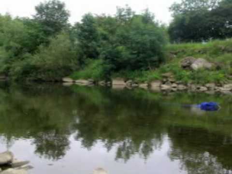 Fishing on the River Swale at Catterick - YouTube