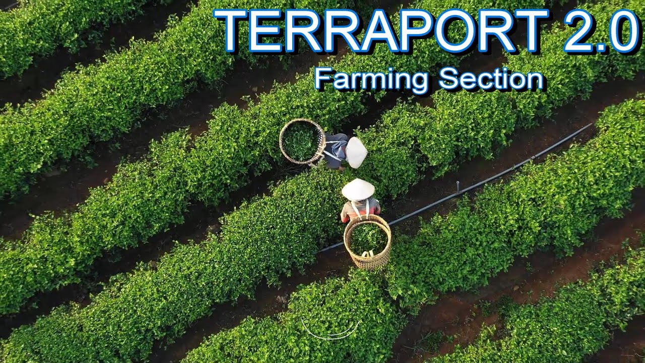 Terra Farming - YouTube