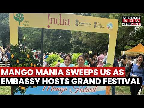 Indian 'Mango Mania' Goes Global As Embassy Hosts Grand Festival In Washington | Watch